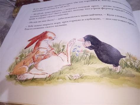 Книга: Куда уложить зайчонка? - Шеридан Кейн. Купить книгу, читать ...