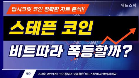 스테픈 코인 전망 스테픈 코인 비트따라 폭등할까 핵심 변곡 예측 Youtube