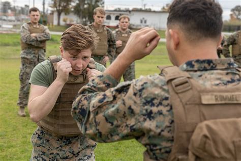 Dvids Images Ii Marine Expeditionary Force Conduct Mcmap And O Course Image Of