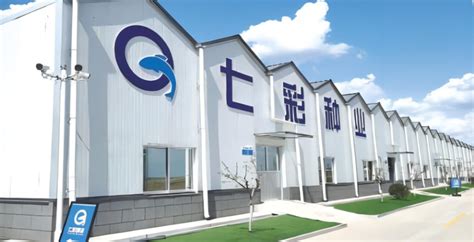 青岛七彩种业科技有限公司 高端水产种业领军企业 墨瑞鳕 三文鱼 鱼苗 加工品 循环水养殖技术服务 全产业链供应商