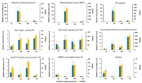 Validation Of Expression Patterns Of Selected Genes By Qrt Pcr The