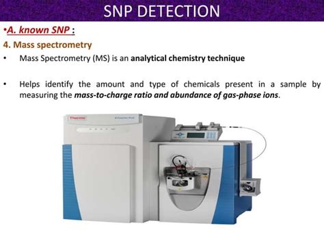 Ppt Snp Detection Pptx