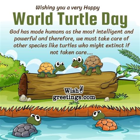World Turtle Day Wishes Messages Quotes Wish Greetings