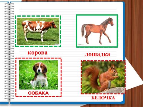 Исключение лишнего - презентация онлайн