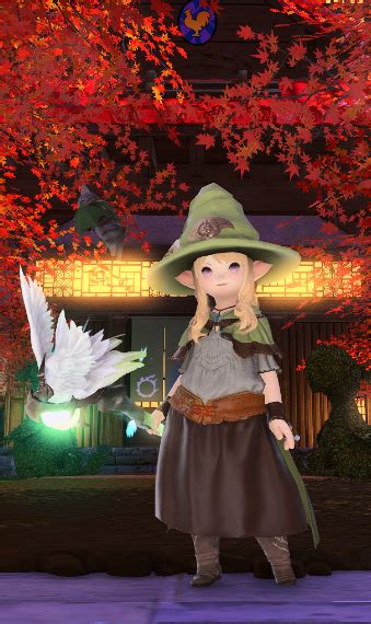 Witch Apprentice Eorzea Collection
