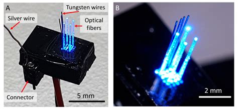 Optrode Array For Simultaneous Optogenetic Modulation And Electrical Neural Recording