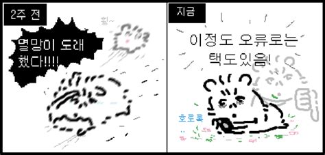 📡 Docker로 On Premise 환경에 배포하기 📡 Docker로 On Premise 환경에 배포하기