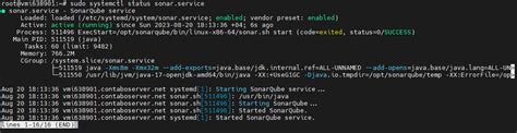 Sonarqube Service Is Active On Server But Url Is Not Working On Browser