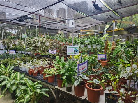 Retail Nursery