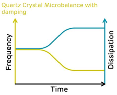 What Is Quartz Crystal Microbalance Qcm Technology An Introduction Micro Photonics