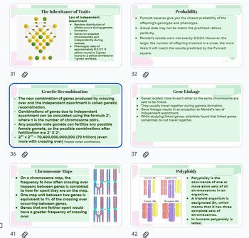 Sexual Reproduction And Genetics Unit Teacher Notes Google Slides