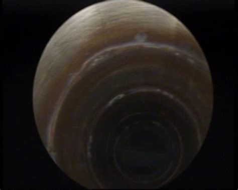 Welding Object Detection Model By Ptdong St