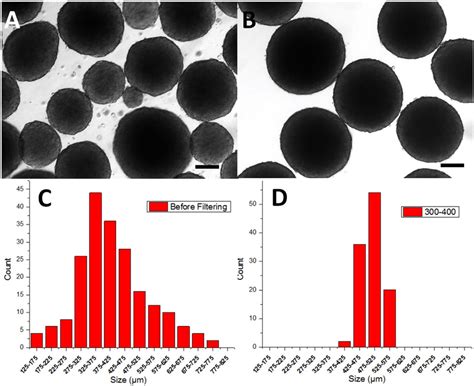 Tumor Spheroids Size Uniformization A A Typical Image Showing The