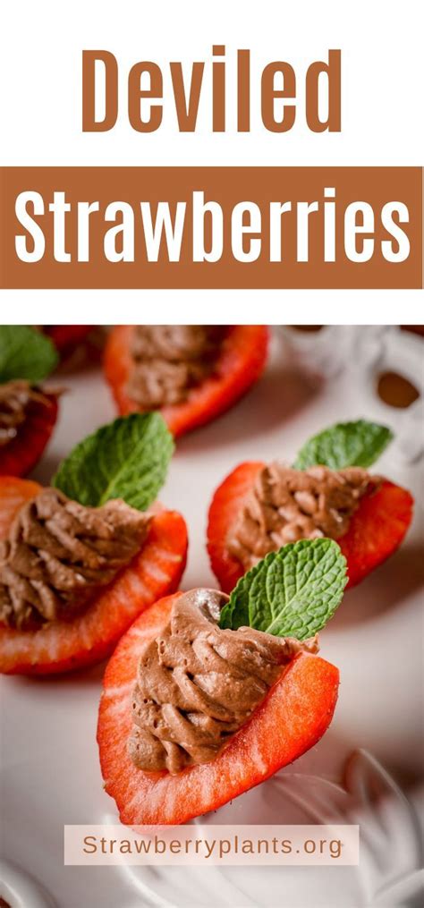 Deviled Chocolate Strawberries At Michael Schiller Blog