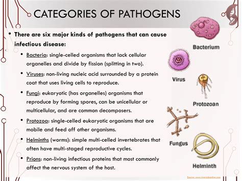 Ppt Pathogens And Their Impact On Health Powerpoint Presentation