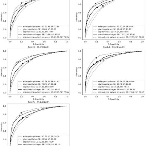 Vit Performance In Each Cross Validation Fold Evaluation Set N ¼ 17