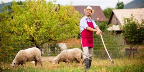 11 Different Types Of Farms To Understand Farming Farming Base