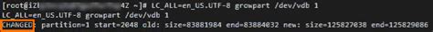 Extend The Partitions And File Systems Of Disks On A Linux Instance