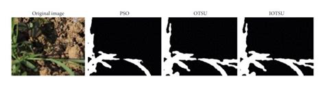 the results of segmentation using different algorithms a and b