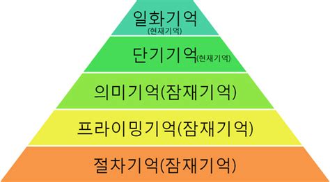 기억의 계층시스템 단기기억 장기기억 일화기억 의미기억 프라이밍기억 절차기억 네이버 블로그