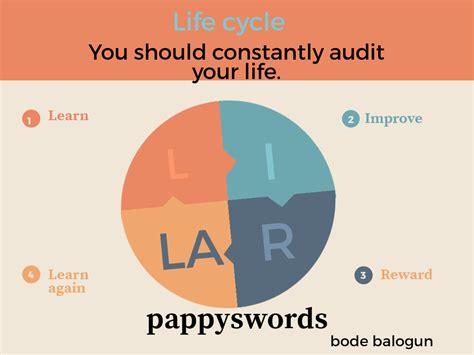 Life Audit Cycle Pappy S Hub