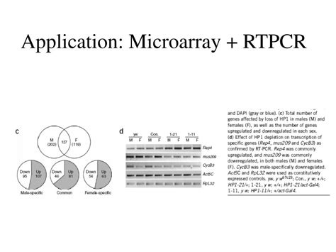 Ppt Biolchem 473 Powerpoint Presentation Free Download Id3101044
