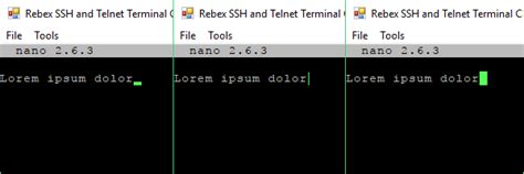 Terminal Emulation Rebex Ssh Shell Rebexnet