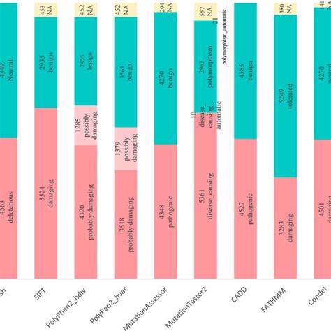 the proposed framework for classifying variants download scientific