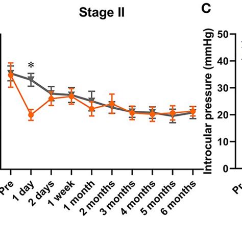 Intraocular Pressure Profile Following Conbercept Download
