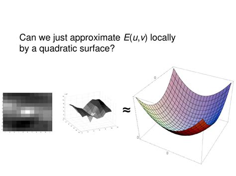 Wikipedia Mysid Frasier Spiral Illusion Ppt Download