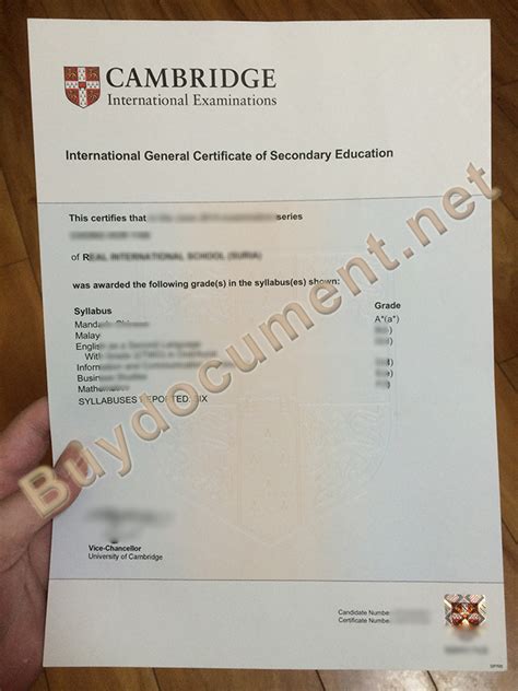 Buy Igcse Fake Certificate Igcse Certificate Samplebuy Fake Diploma