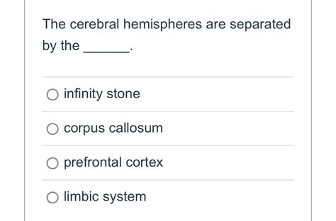 Solved The Cerebral Hemispheres Are Separated By Theinfinity Chegg