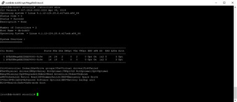 Создаём Raid1 массив на сервере Supermicro из 18 дисков с помощью Storcli Internet