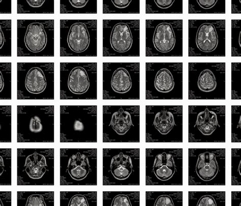 The Forensic Research Cognitive Neuroscience And Social Psychology By Velin Maier Arts Thread