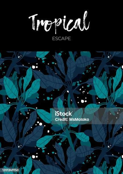 이국적인 야자수 잎과 텍스트 공간 어두운 벡터 여름 디자인 카드 템플릿 전단지 배경의 배너 열대 배경 그림입니다 검은색에 대한 스톡 벡터 아트 및 기타 이미지 Istock