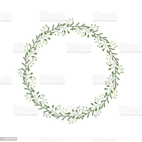 나뭇 가지 녹색 잎 열매가있는 둥근 우아한 프레임 축제 장식꽃 화환 세련된 로고 요소 텍스트가 있는 녹색 식물 테두리입니다 벡터 일러스트레이션 격리 된 흰색 배경