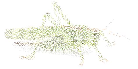 Grasshopper Speeding Up Arxace Grasshopper Speeding Up Arxace