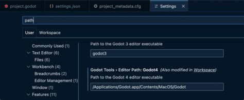 set up your vs code godot environment