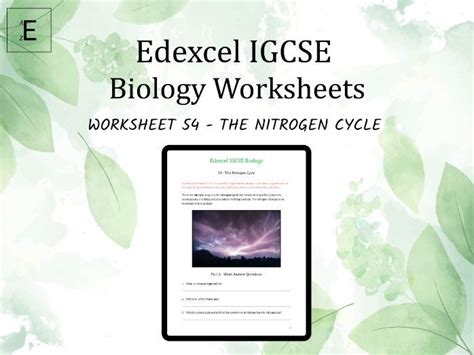 Edexcel Igcse Biology Worksheet 54 The Nitrogen Cycle Teaching Resources