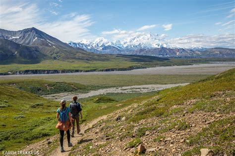 Denali Park Road Things To Do From Mile 0 To 92 And Is It Worth It