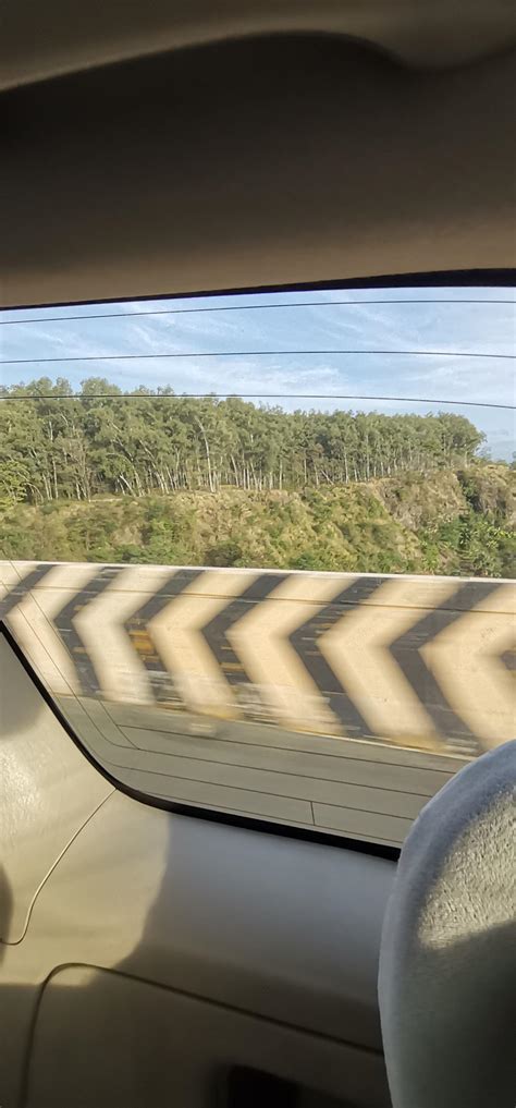 Line Of Trees Along A Road Going To Subic R Philippines