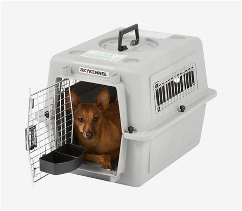 How To Keep A Dog Calm During A Flight