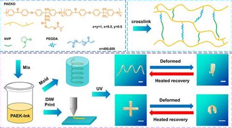 通过分子工程和直接墨水书写3d打印实现基于聚芳醚酮 Nvp Pegda的形状记忆聚合物的4d打印 Acs Applied Polymer Materials X Mol