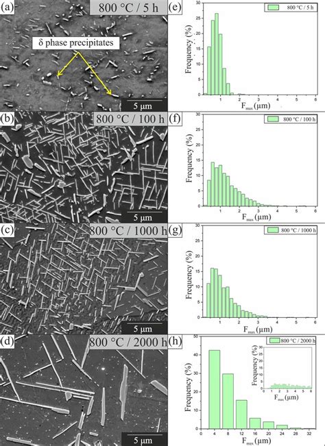 Inconel 625 Lpbf Microstructure Observed After Annealing At 800 °c For Download Scientific