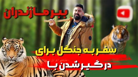 ماجرای یک روز سفر در جنگلهای مازندران در جستجوی ببر و درگیری با ببر