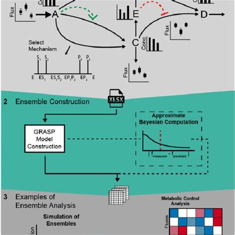 Workflow For Building Kinetic Models With Grasp 1 Input Information Download Scientific