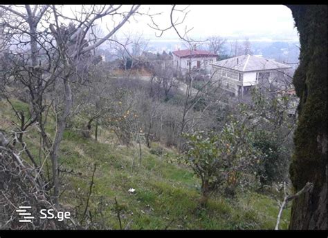 იყიდება მიწის ნაკვეთი ახალსოფელში 42000 28786078 Ss Ge
