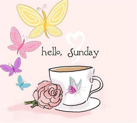Hello Sunday With A Coffee Cup And Pink Rose