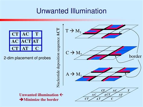 Ppt Border Length Minimization In Dna Array Design Powerpoint Presentation Id807475