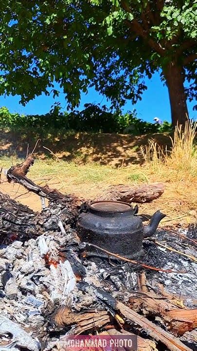 چای هیزمی آرامش در طبیعت Youtube